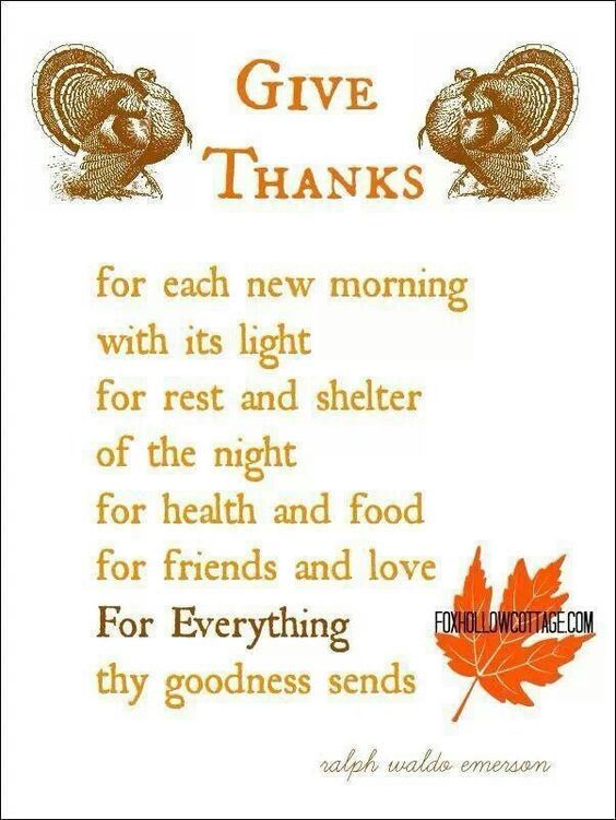 Give Thanks Thanksgiving Quote Pictures, Photos, and Images for ...