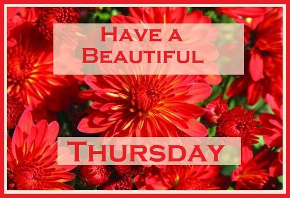 Red Floral Beautiful Thursday Quote Pictures, Photos, and Images for ...
