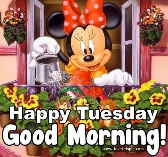 Minnie Happy Tuesday Good Morning Quote Pictures, Photos, and Images ...