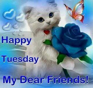 Kitty Tuesday Dear Friends Quote Pictures, Photos, and Images for ...