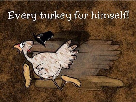 Every Turkey For Himself! Pictures, Photos, and Images for Facebook ...