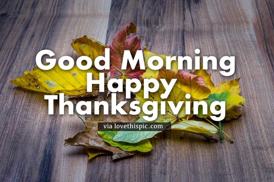 Dry Leaf Good Morning Happy Thanksgiving Pictures, Photos, and Images ...