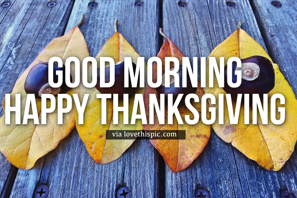 Good Morning, Happy Thankgiving Pictures, Photos, and Images for ...