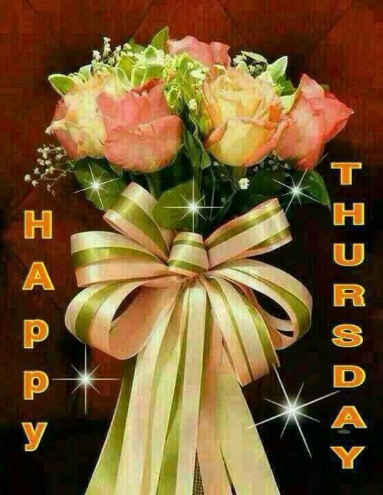 Rose Happy Thursday Pictures, Photos, and Images for Facebook, Tumblr ...