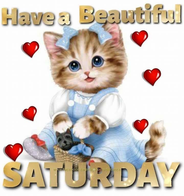 Kitty Beautiful Saturday Pictures, Photos, and Images for Facebook ...