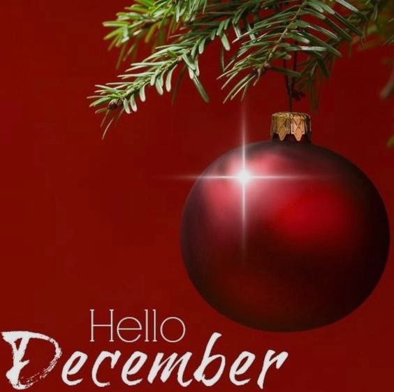 Red Ornament Hello December Quote Pictures, Photos, and Images for ...