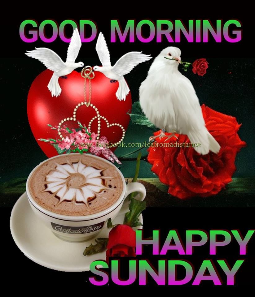 Doves Good Morning Sunday Quote Pictures, Photos, and Images for ...