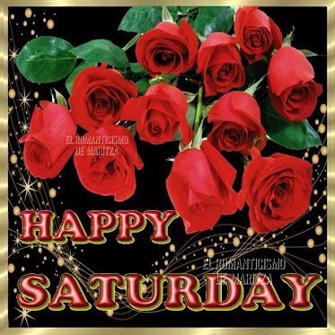 Rose Happy Saturday Pictures, Photos, and Images for Facebook, Tumblr ...