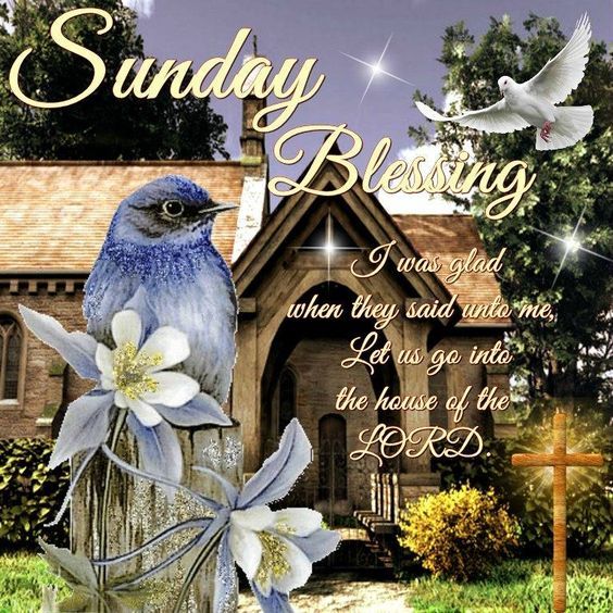 Birdy Sunday Blessing Pictures, Photos, and Images for Facebook, Tumblr ...
