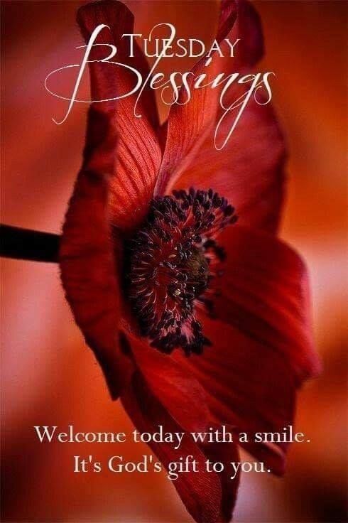 Welcome Today With A Smile Pictures, Photos, and Images for Facebook ...