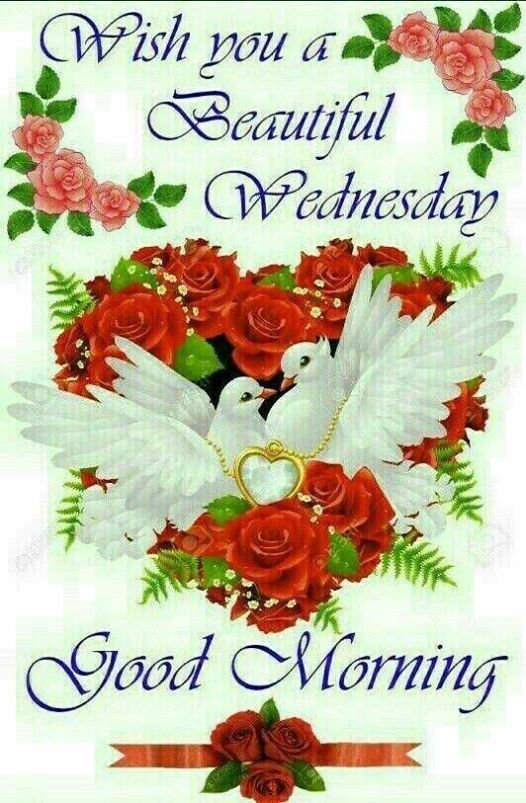 Dove Beautiful Wednesday Pictures, Photos, and Images for Facebook ...