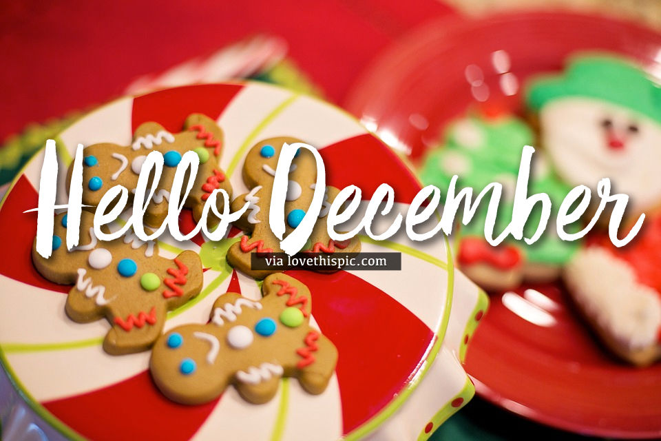 Gingerbread Hello December Quote Pictures, Photos, and Images for ...