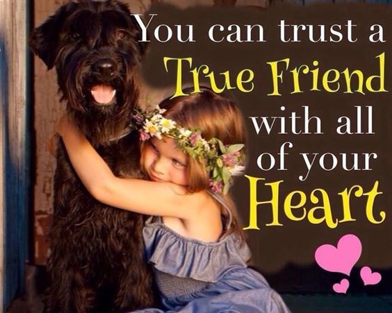 You Can Trust A True Friend With All Your Heart Pictures, Photos, and ...
