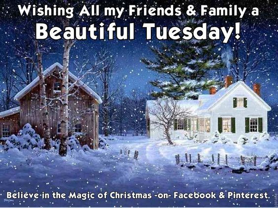 Winter Beautiful Tuesday Quote Pictures, Photos, and Images for ...
