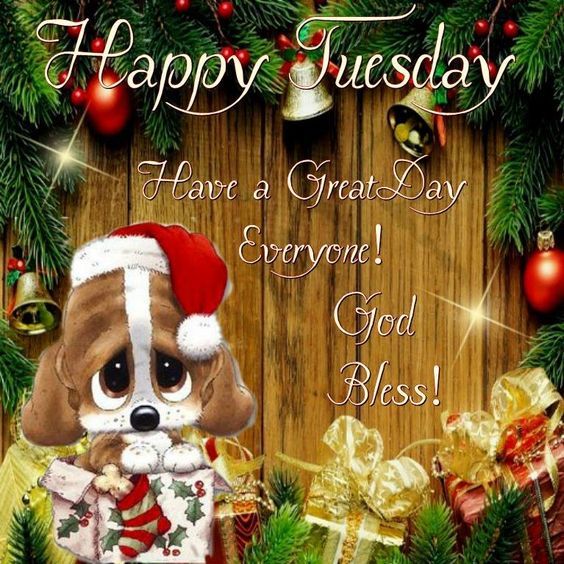 Puppy Christmas Decor Happy Tuesday Quote Pictures, Photos, and Images ...