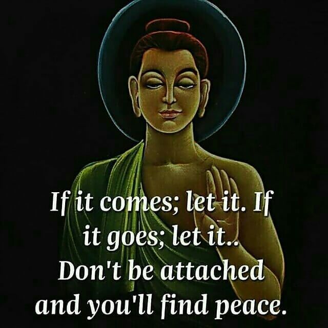 If It Comes; Let It. If It Goes; Let It...Don't Be Attached And You'll ...