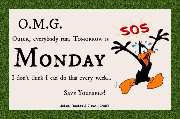 O.M.G. Quick, Everybody Run! Tomorrow Is Monday!! Pictures, Photos, and ...