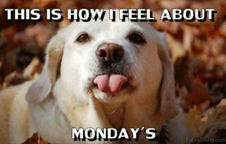 This Is How I Feel About Monday's Pictures, Photos, and Images for ...