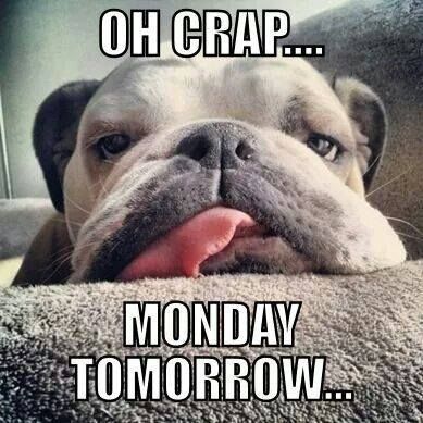 Oh Crap...Monday Tomorrow Pictures, Photos, and Images for Facebook ...