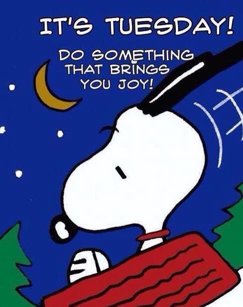 Do Something That Brings You Joy, Its Tuesday! Pictures, Photos, and ...
