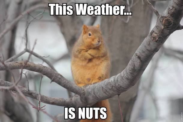 This Weather....is Nuts Pictures, Photos, and Images for Facebook ...
