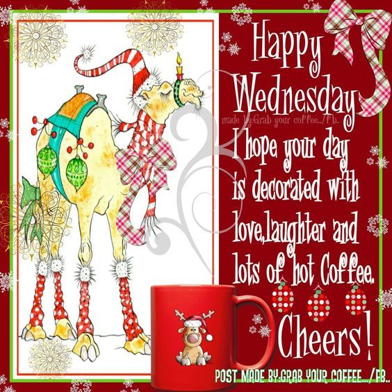 Camel Christmas Happy Wednesday Pictures, Photos, and Images for ...