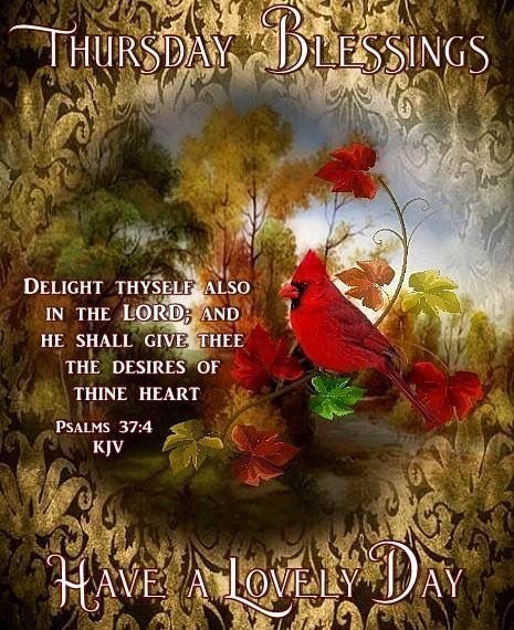 Thursday Blessing Cardinal Quote Pictures, Photos, and Images for ...