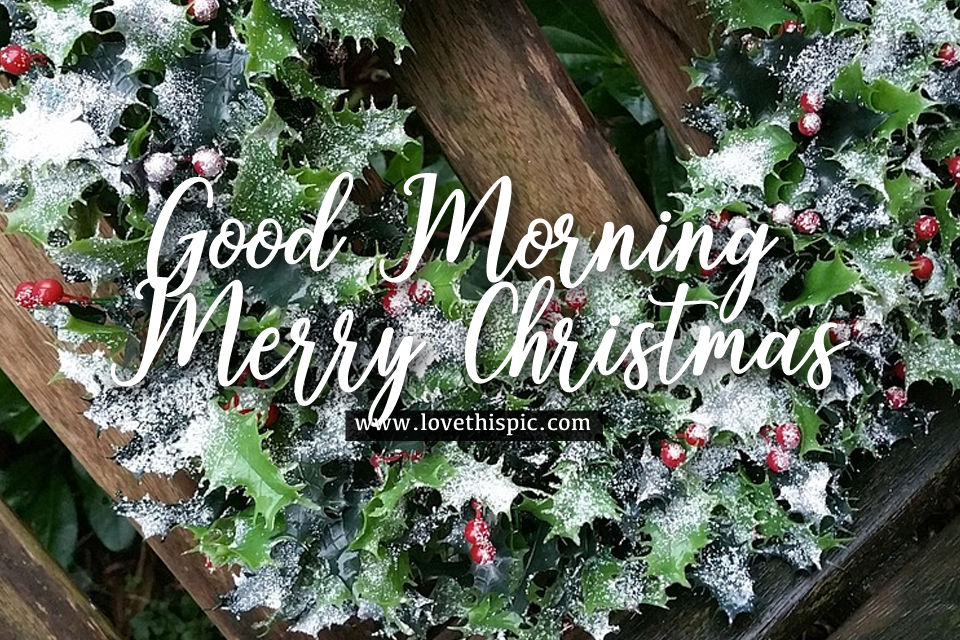 Good Morning Christmas Wreath Images at Alana Mcgovern blog