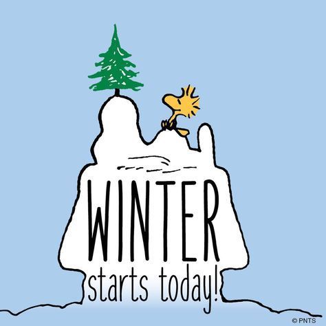 Winter Starts Today Pictures, Photos, and Images for Facebook, Tumblr ...
