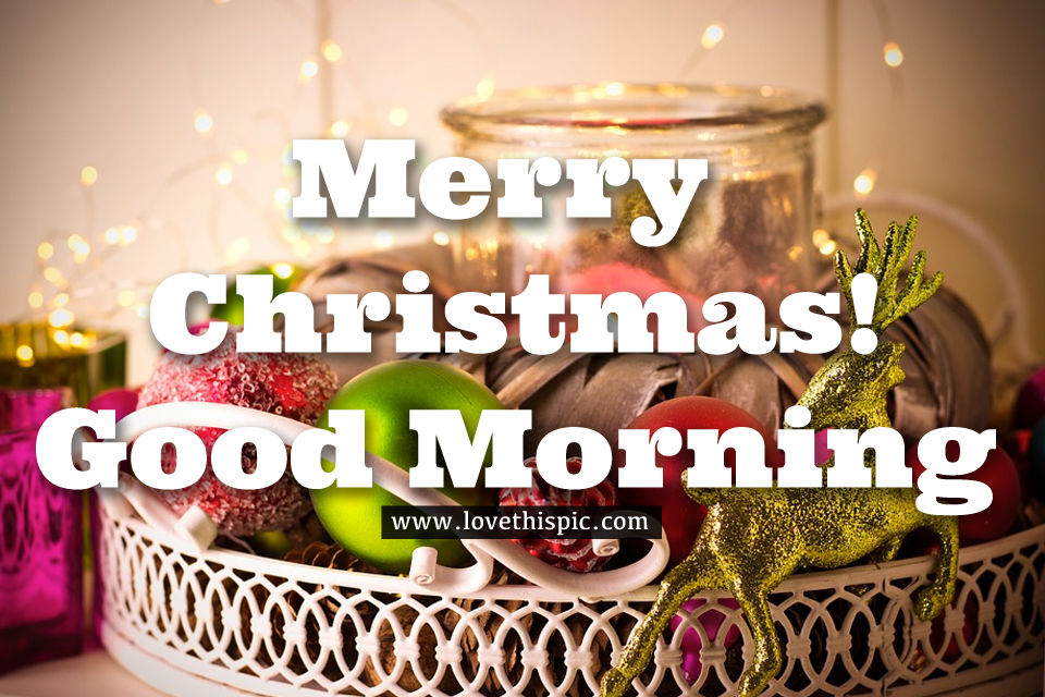 Xmas Decor Merry Christmas Good Morning Image Pictures, Photos, and ...