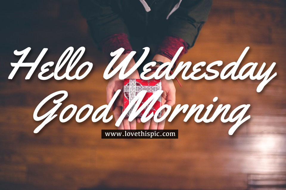 Little Gift Hello Wednesday Good Morning Pictures, Photos, and Images ...