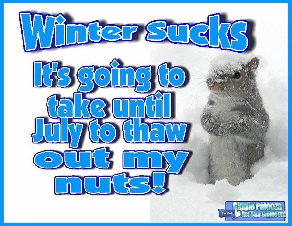 Winter Sucks Pictures, Photos, and Images for Facebook, Tumblr ...