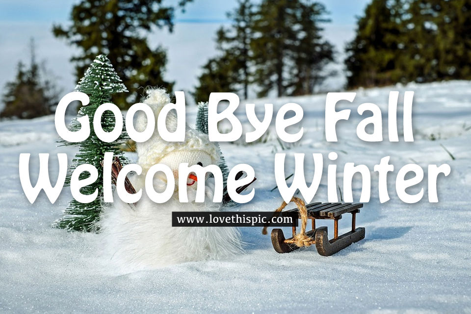 Goodbye Fall Hello Winter