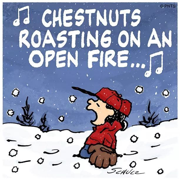 Chestnuts Roasting On An Open Fire Pictures, Photos, and Images for ...