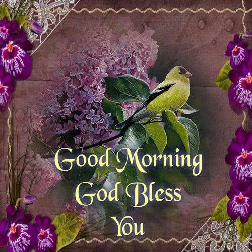 Bird Blessing For Morning Pictures, Photos, and Images for Facebook ...