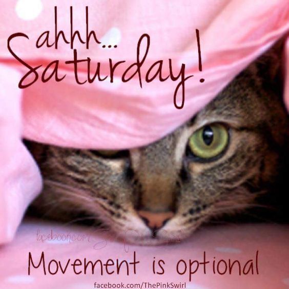Ahhh Saturday! Movement Is Optional Pictures, Photos, and Images for ...