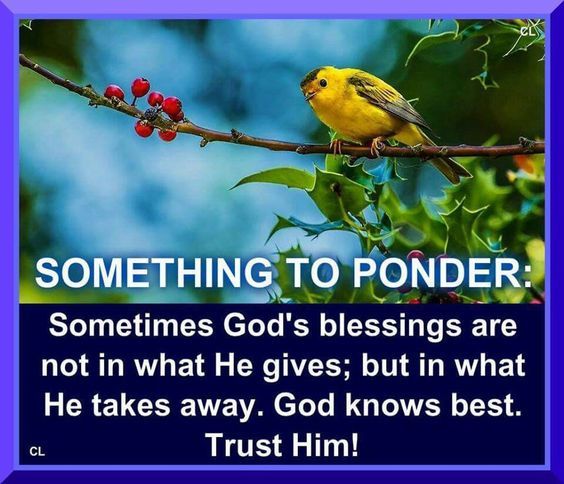 Something To Ponder Pictures, Photos, and Images for Facebook, Tumblr ...