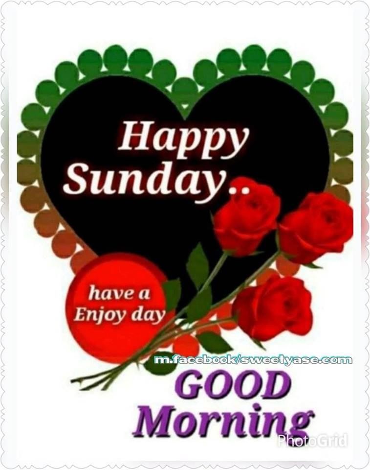 Twin Rose Happy Sunday Pictures, Photos, and Images for Facebook ...