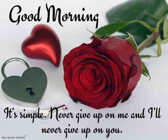 Good Morning Never Give Up On Me And I Will Never Give Up On You ...