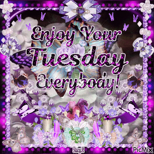 Everyone Enjoy Your Tuesday Pictures, Photos, and Images for Facebook ...