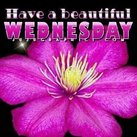 Floral Beautiful Wednesday Pictures, Photos, and Images for Facebook ...