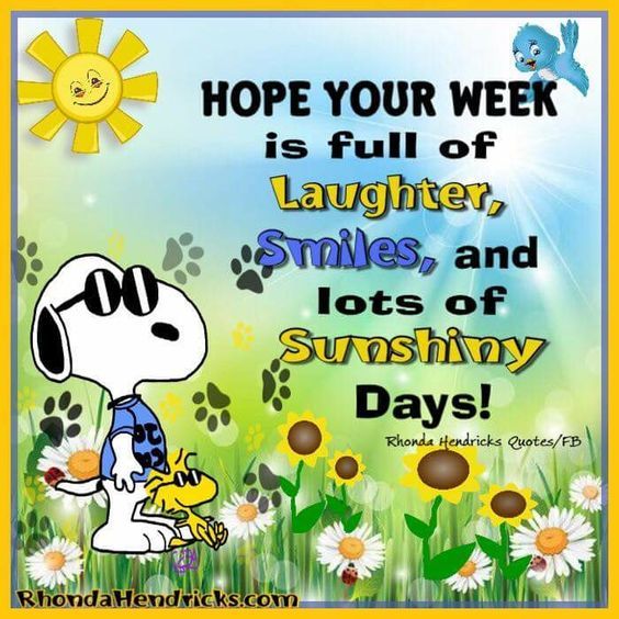 Sunshiny New Week Pictures, Photos, and Images for Facebook, Tumblr ...