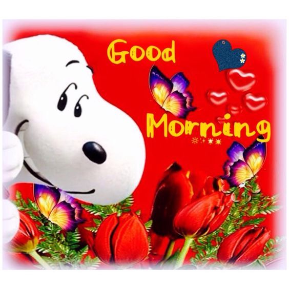 Smiling Snoopy Good Morning Pictures, Photos, and Images for Facebook ...