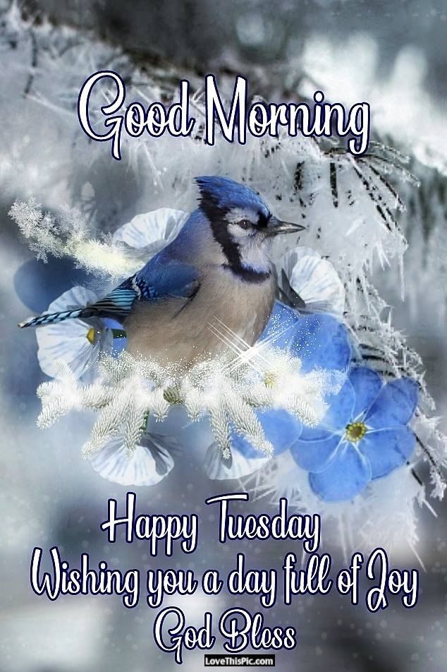 Happy Tuesday Peace And Joy Pictures, Photos, and Images for Facebook ...