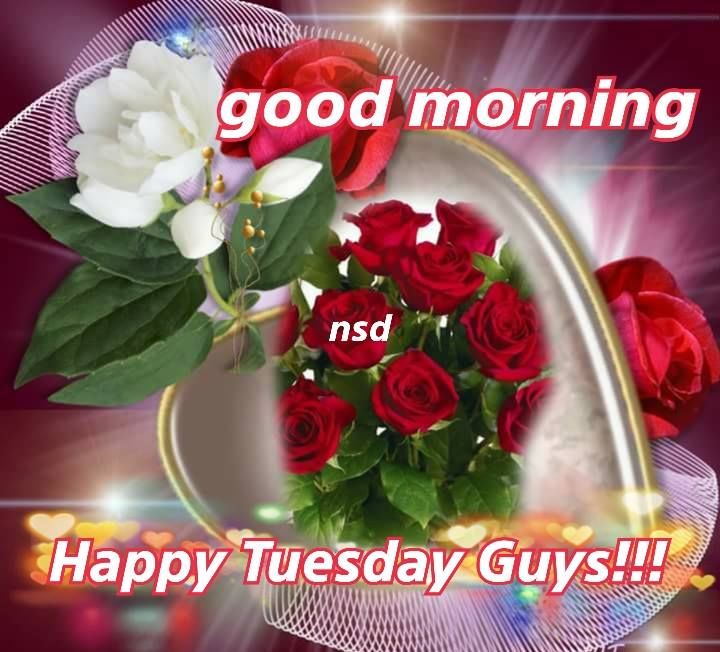 Happy Tuesday Guys Pictures, Photos, and Images for Facebook, Tumblr ...