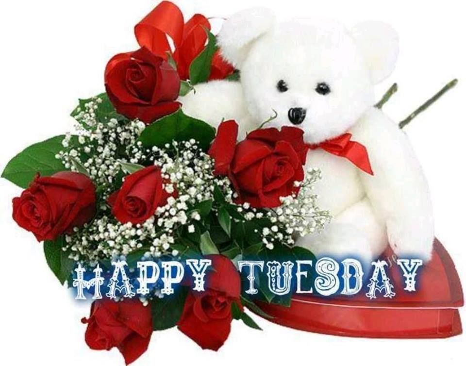 Teddy Happy Tuesday Quote Pictures, Photos, and Images for Facebook ...