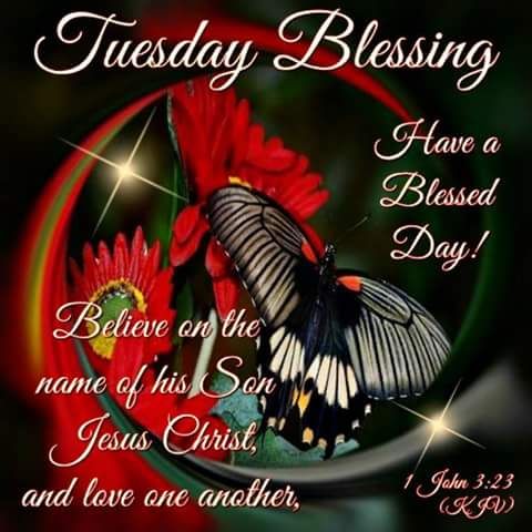 Butterfly Tuesday Image Pictures, Photos, and Images for Facebook ...