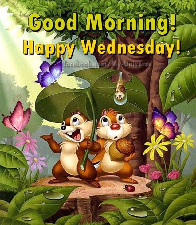 Morning Chipmunk Wednesday Pictures, Photos, and Images for Facebook ...