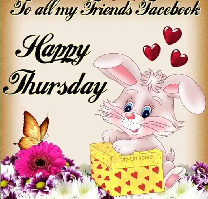 Happy Bunny Thursday Pictures, Photos, and Images for Facebook, Tumblr ...