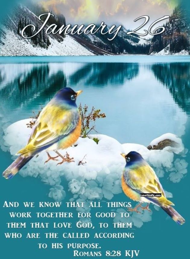 January 26 Pictures, Photos, and Images for Facebook, Tumblr, Pinterest ...